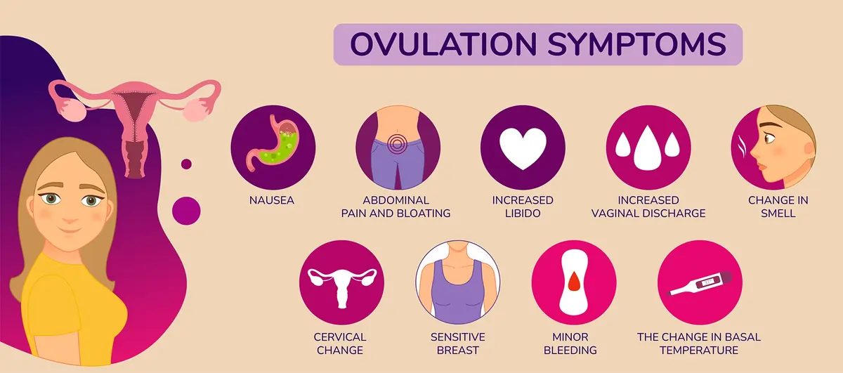 Ovulation Signs and Symptoms: Know Your Fertile Days