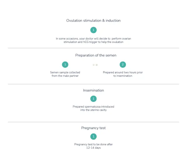 IUI Treatment Step-By-Step Guide: All You Need to Know